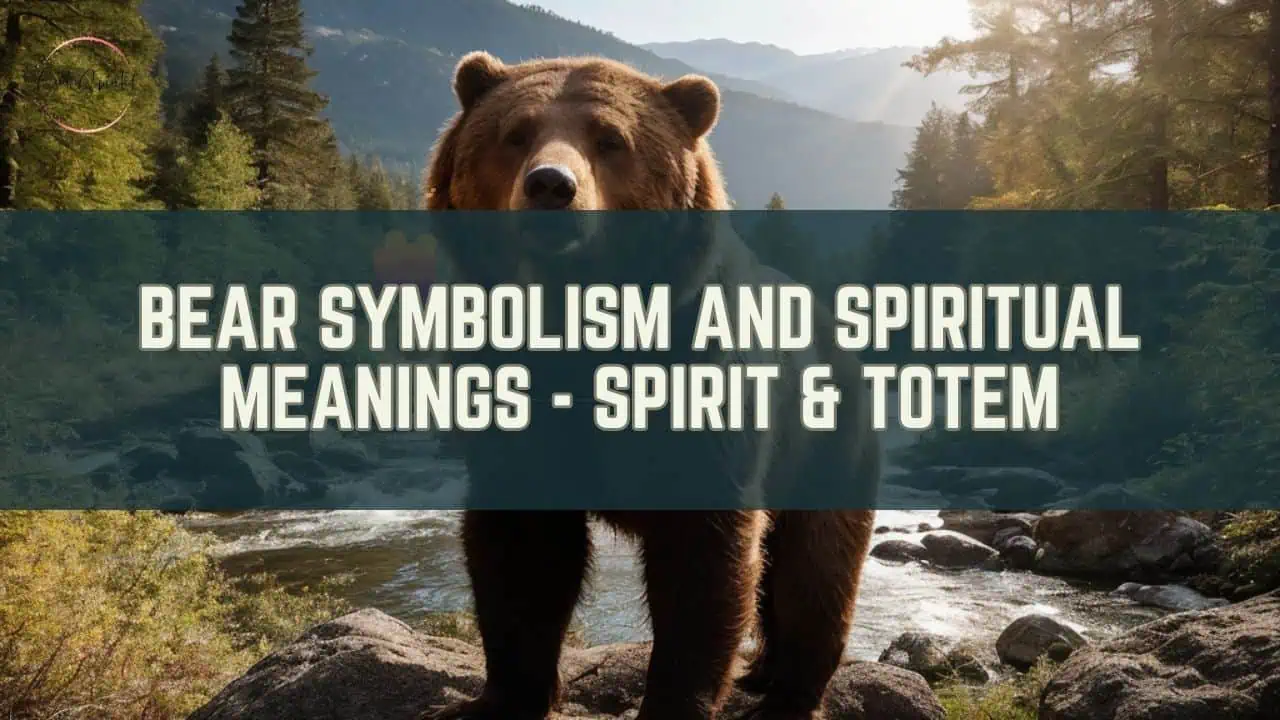 Bear Symbolism and Spiritual Meanings - Spirit & Totem