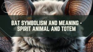 Bat Symbolism and Meaning - Spirit Animal and Totem