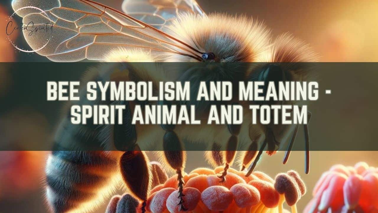 Bee Symbolism and Meaning - Spirit Animal Guide and Totem