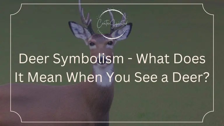 Deer Symbolism - What Does It Mean When You See a Deer?