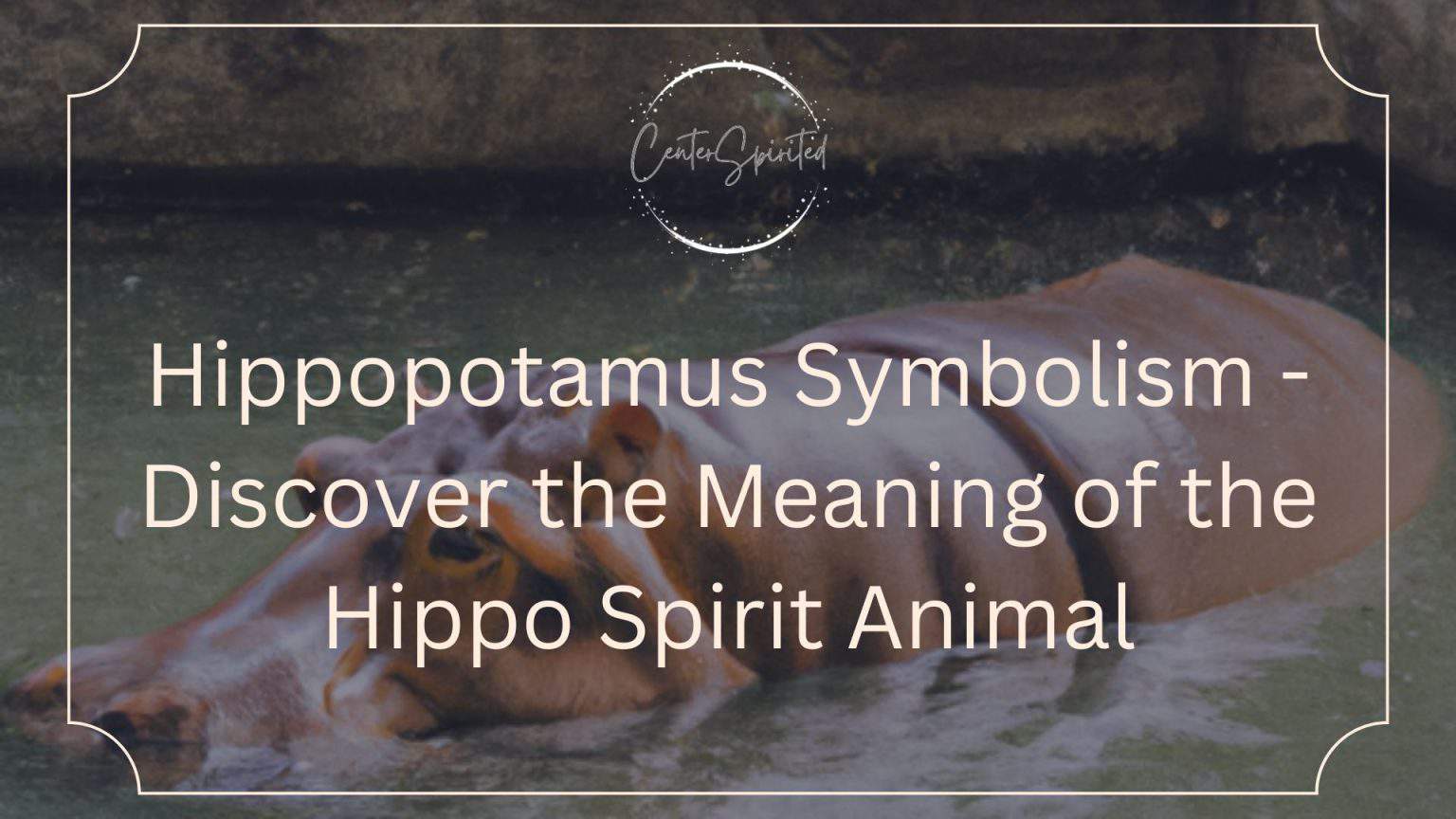 Hippopotamus Symbolism - Meaning of the Hippo Spirit Animal