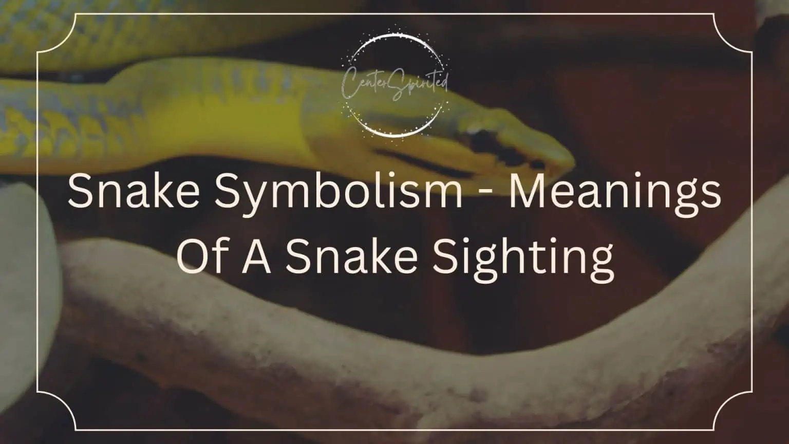 Snake Symbolism - Meanings Of A Snake Sighting