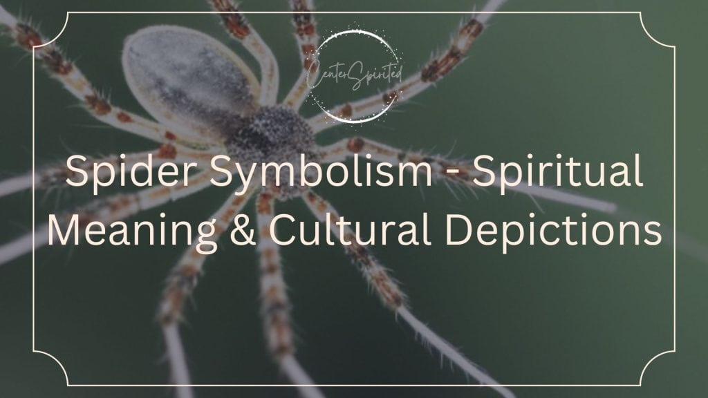 Spider Symbolism - Spiritual Meaning & Cultural Depictions