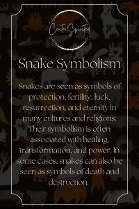 Snake Symbolism - Meanings Of A Snake Sighting