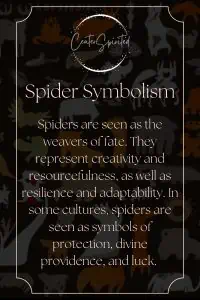 Spider Symbolism - Spiritual Meaning & Cultural Depictions