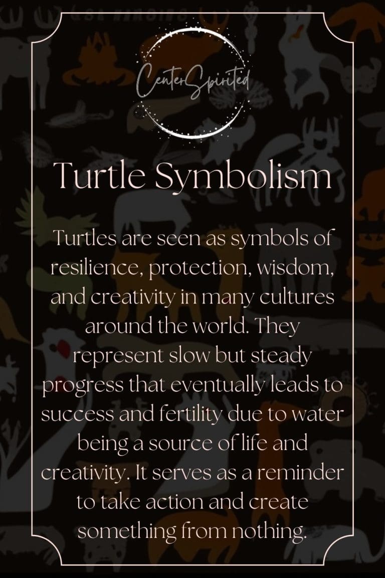 Turtle Symbolism and Spiritual Meaning