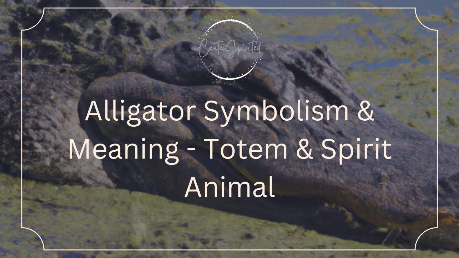 Alligator Symbolism & Meaning - Totem & Spirit Animal
