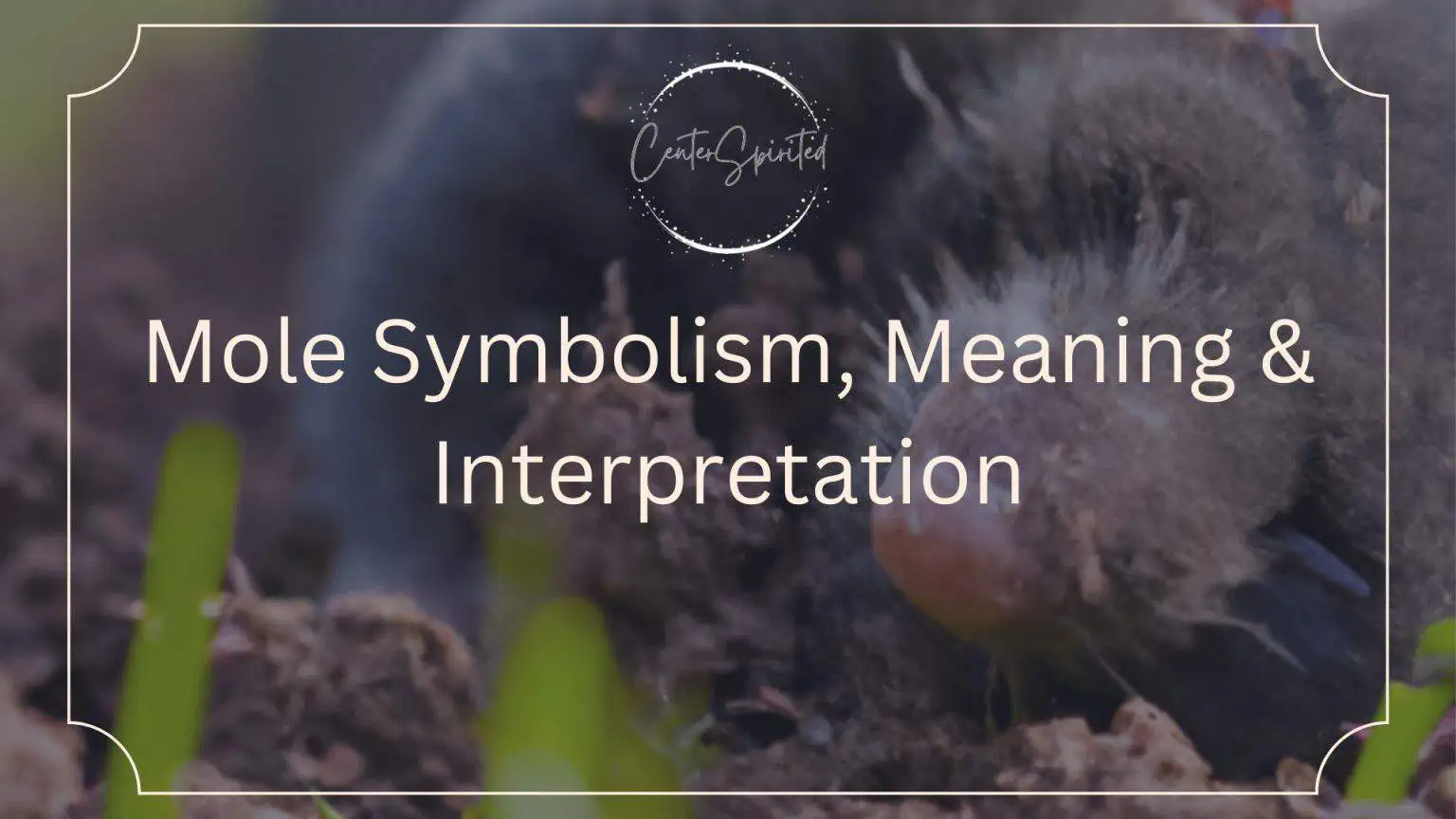 Mole Symbolism and Spiritual Meaning - Spirit Animal & Totem