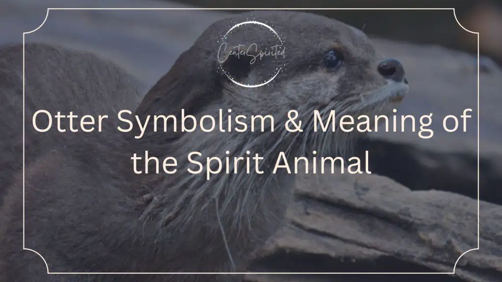 Otter Symbolism & Meaning of the Spirit Animal - centerspirited.com