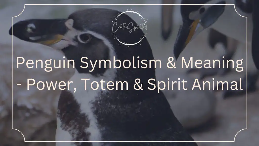 Penguin Symbolism & Meaning - Power, Totem & Spirit Animal