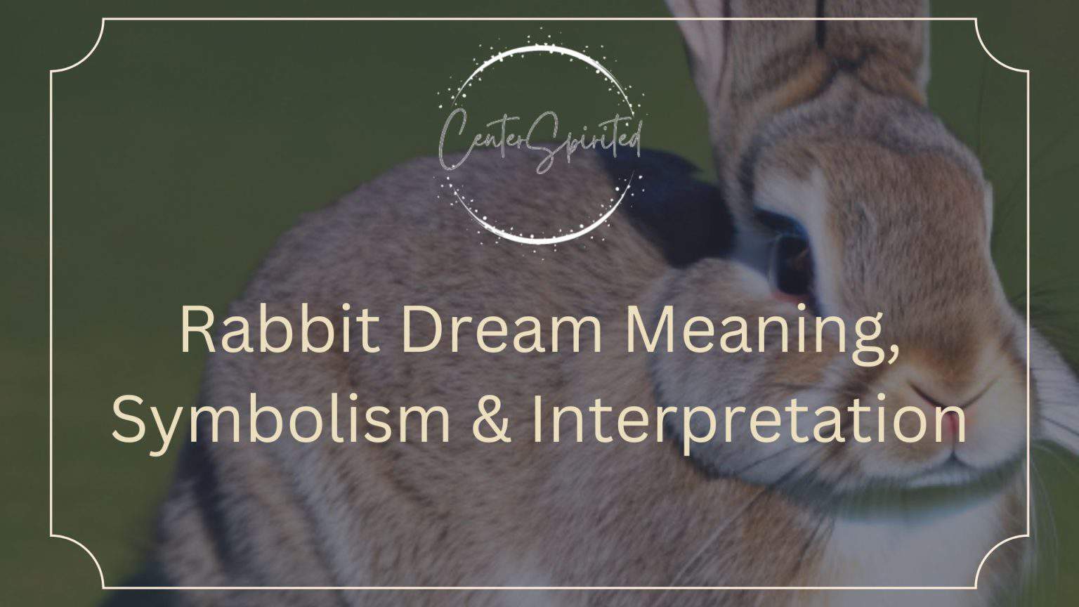 Rabbit Dream Meaning, Symbolism & Interpretation