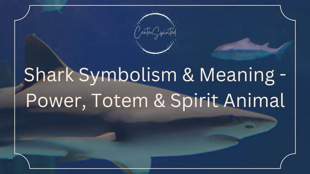 Shark Symbolism & Meaning - Power, Totem & Spirit Animal
