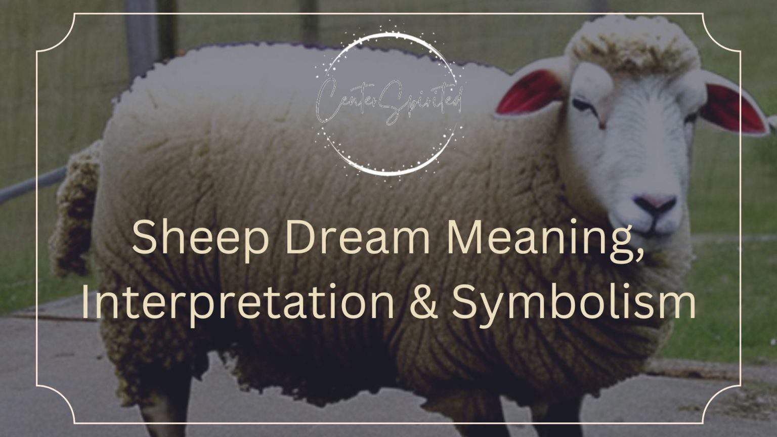 Sheep Dream Meaning, Interpretation & Symbolism