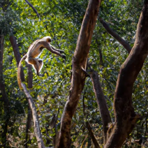 Monkey Symbolism and Meaning - Power Totem & Spirit Animal