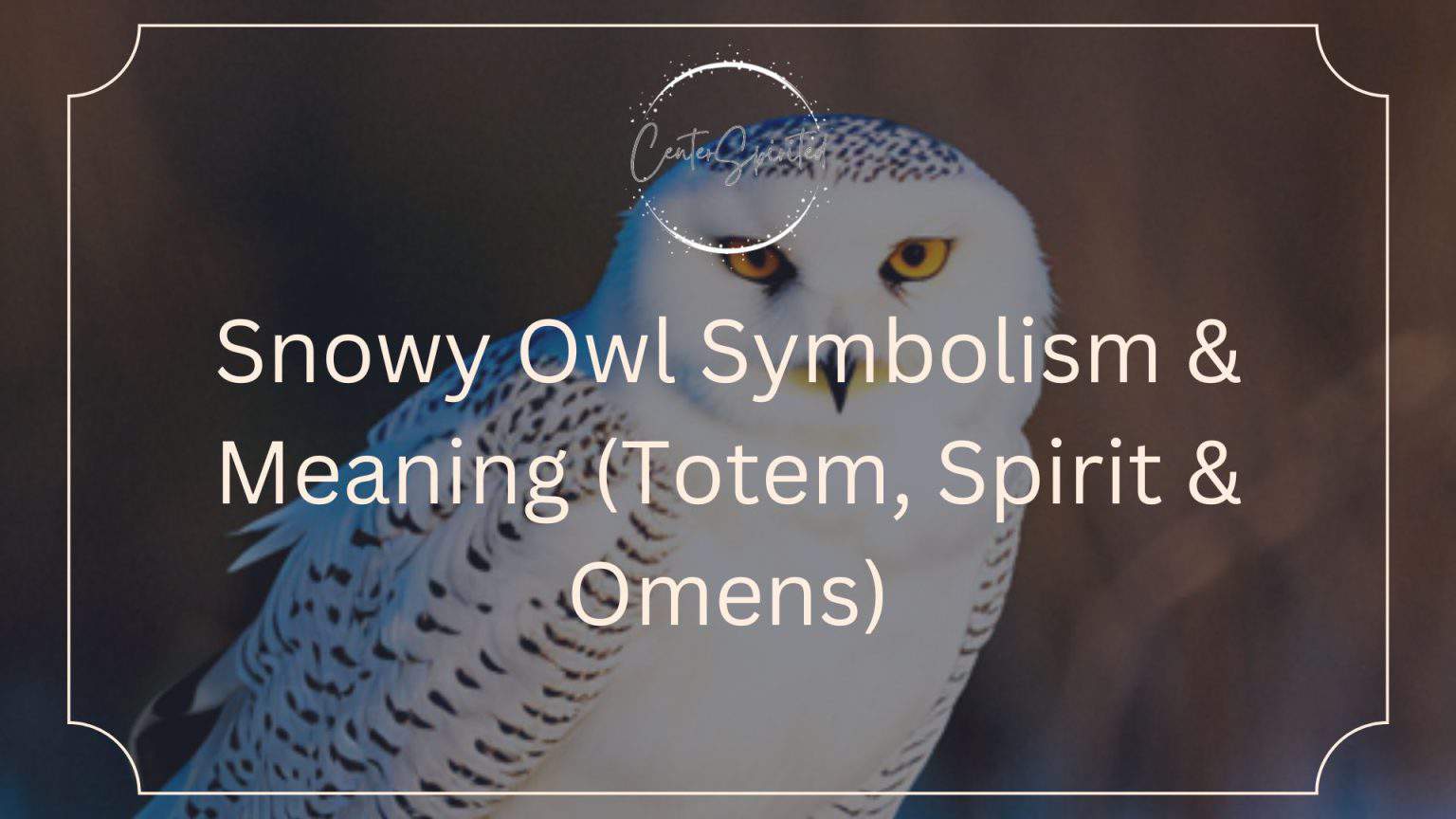 Snowy Owl Symbolism & Meaning (Totem, Spirit & Omens)