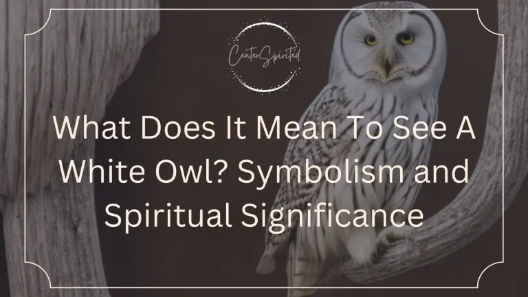 What Does It Mean To See A White Owl? Symbolism & Spiritual Significance