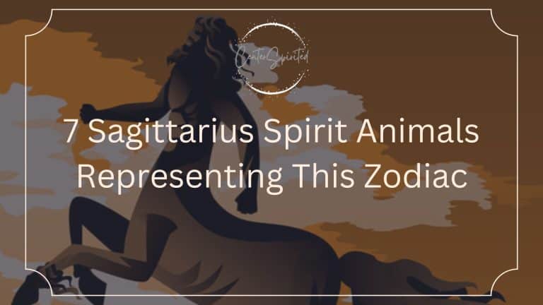 6 Virgo Spirit Animals That Represent The Zodiac Sign