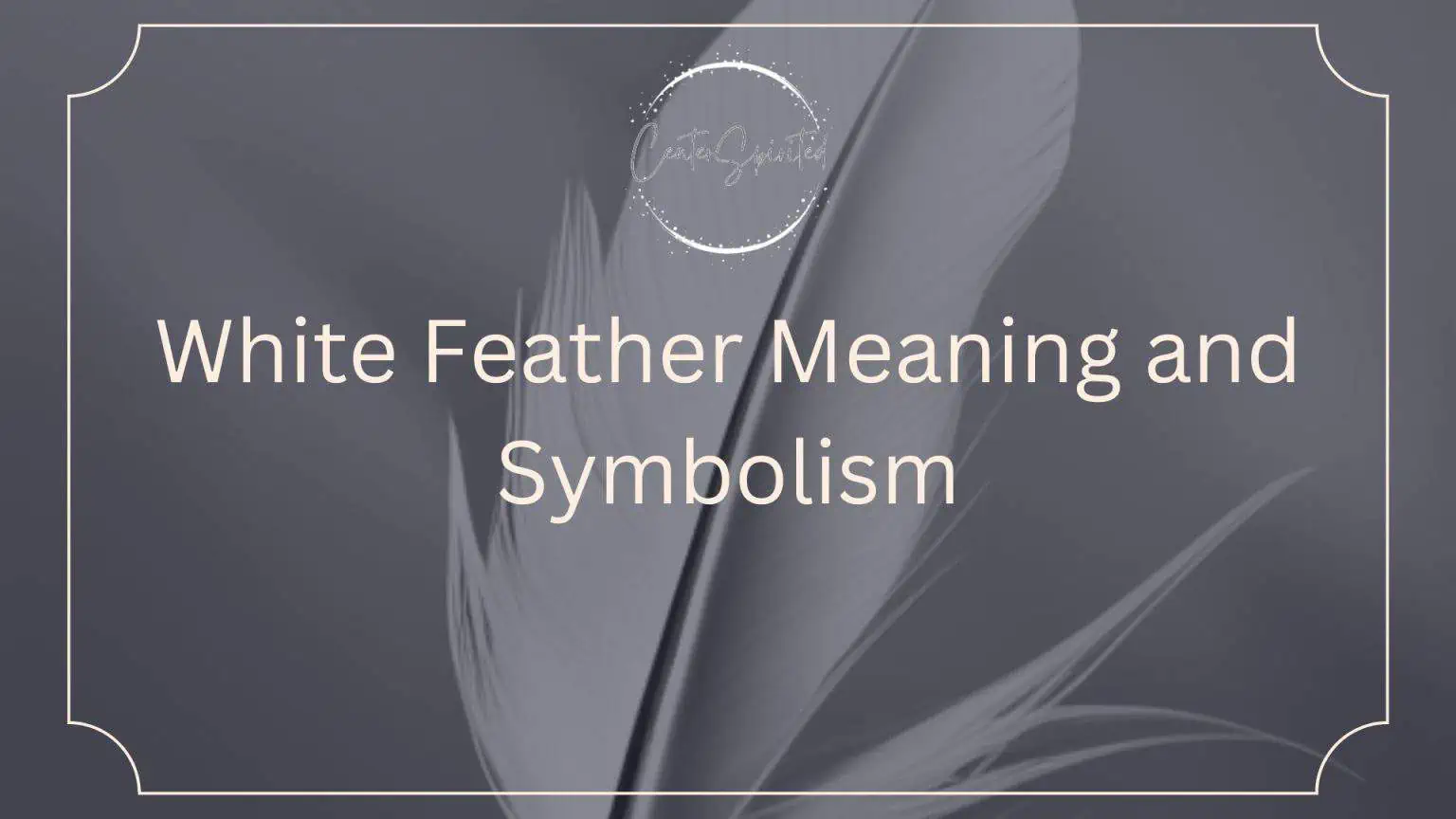 White Feather Meaning and Symbolism