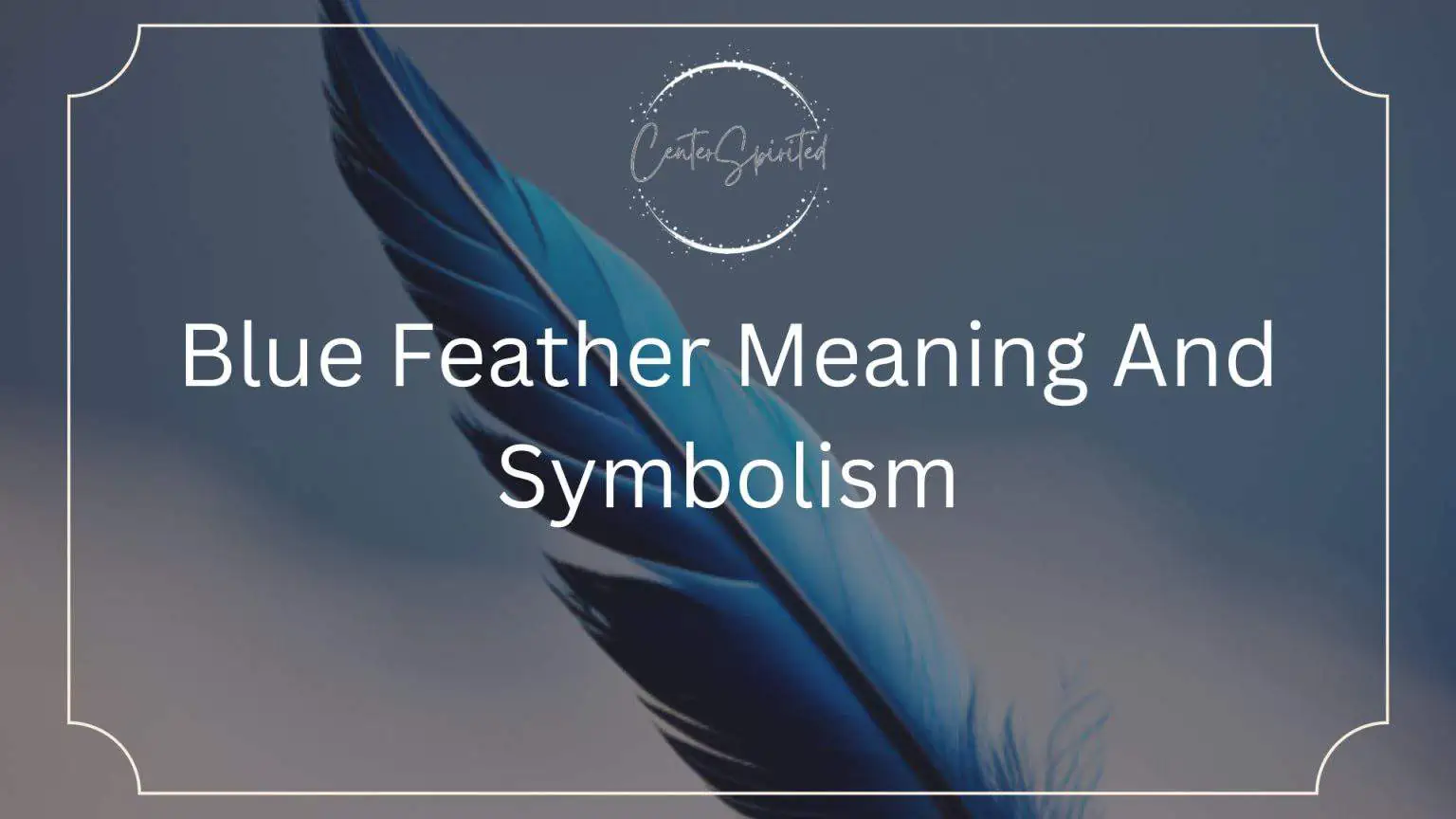 Peacock Feather Meaning and Symbolism - 5 Interpretations