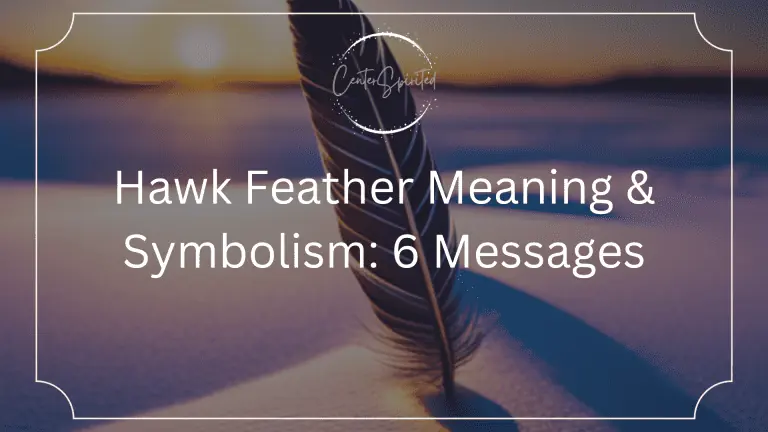 Hawk Feather Meaning & Symbolism: 6 Messages