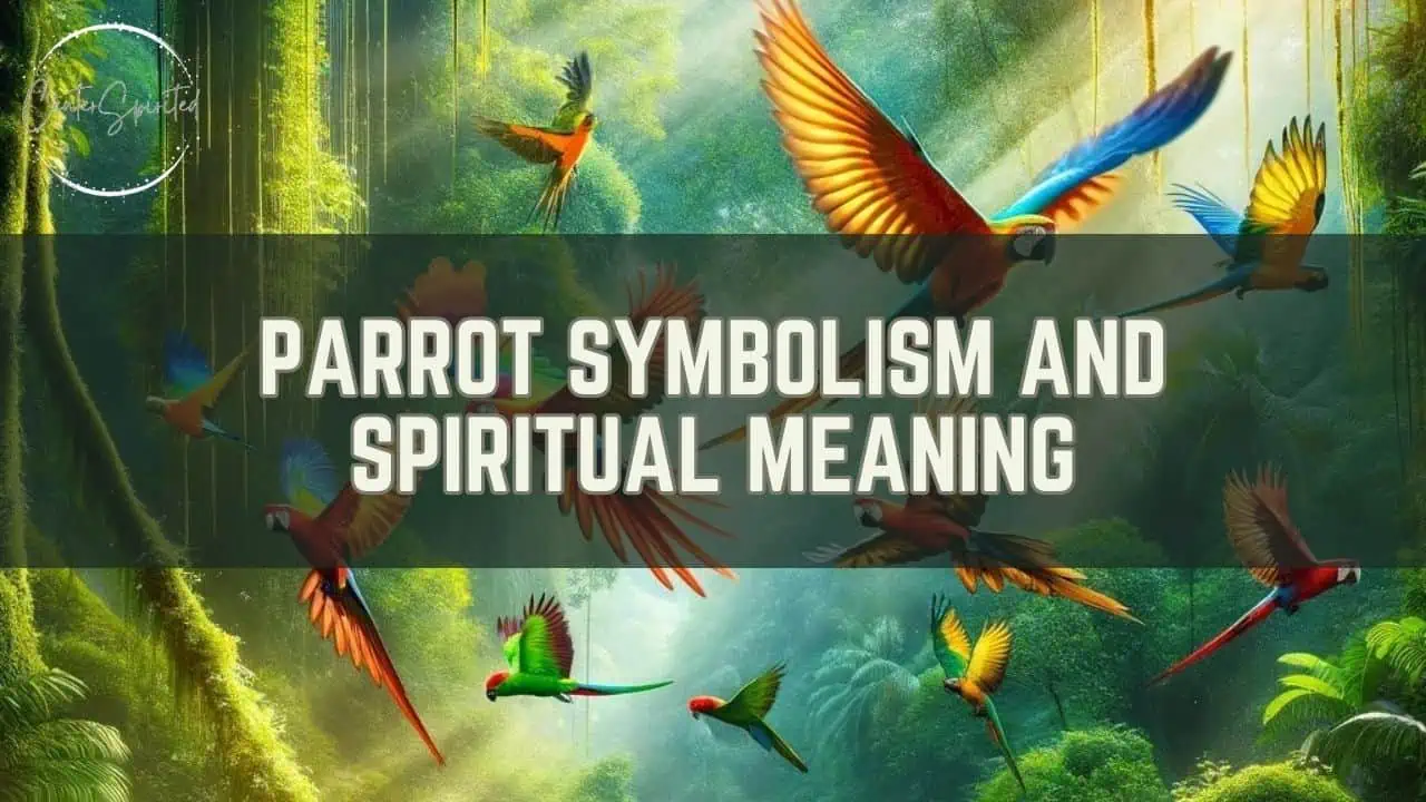 Parrot Symbolism and Spiritual Meaning