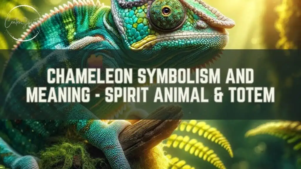 Chameleon Symbolism and Meaning - Spirit Animal & Totem