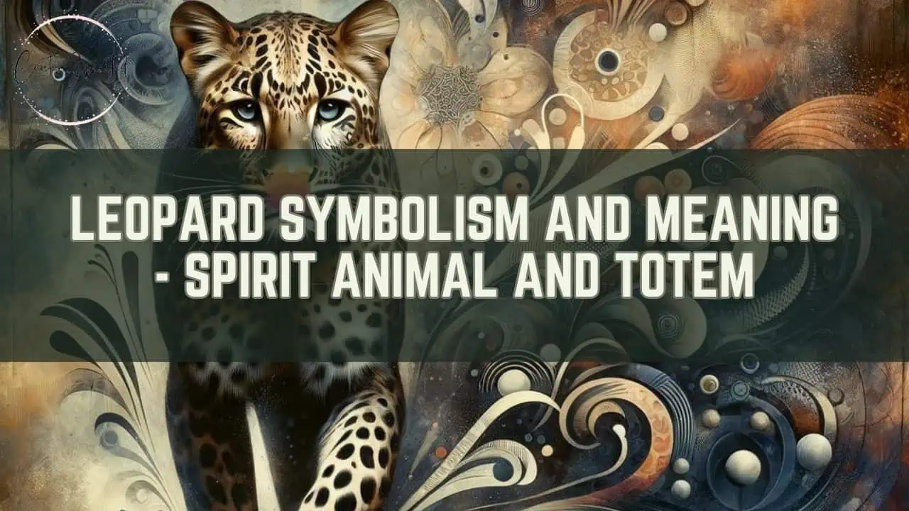 Leopard Symbolism and Meaning - Spirit Animal and Totem