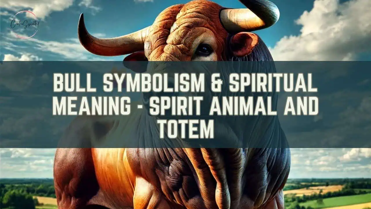 Bull Symbolism & Spiritual Meaning - Spirit Animal and Totem