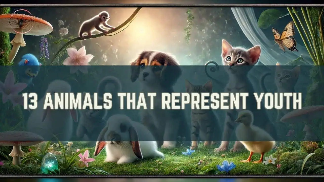 13 Animals That Represent Youth